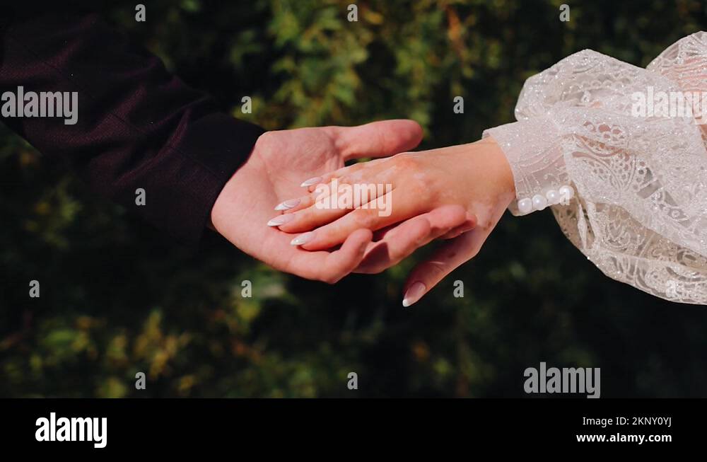 Hand hands handshake palm Stock Videos & Footage - HD and 4K Video ...