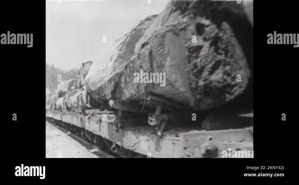 1940s: Pan of log sliding downhill. Log falling into water. Shots of ...