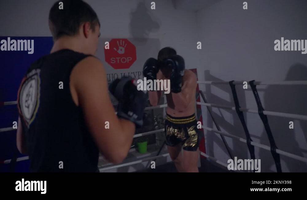 Super lightweight boxer Stock Videos & Footage - HD and 4K Video Clips ...