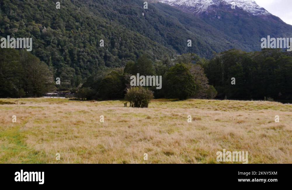 Vegetated by grass Stock Videos & Footage - HD and 4K Video Clips - Alamy