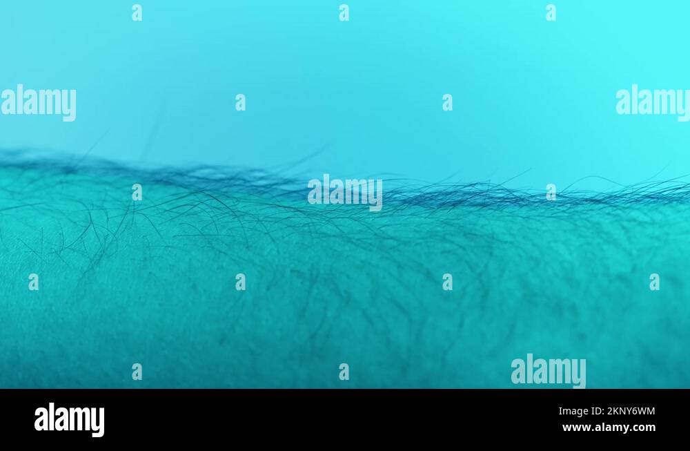 Ray skin texture Stock Videos & Footage - HD and 4K Video Clips - Alamy