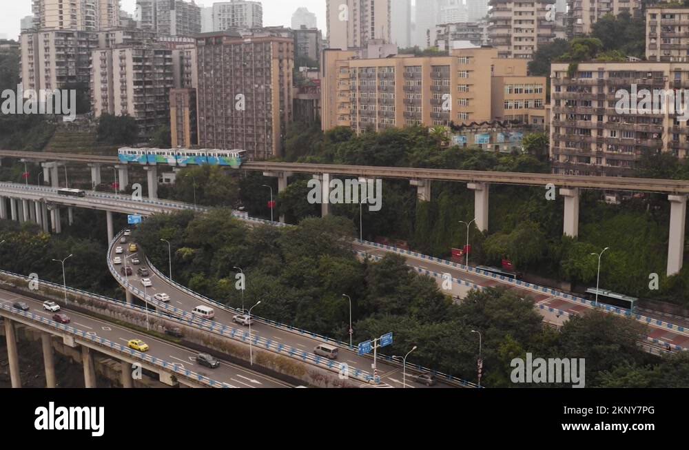 Chinese jungle Stock Videos & Footage - HD and 4K Video Clips - Alamy