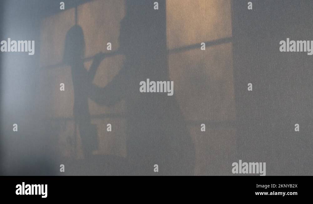 Physical abuse silhouette Stock Videos & Footage - HD and 4K Video ...