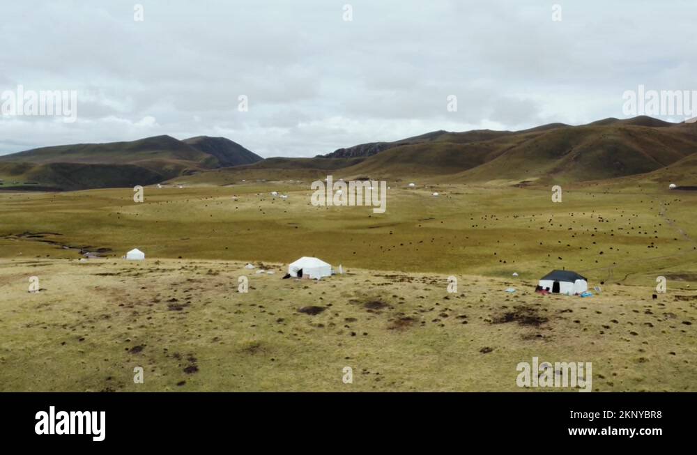 Tibetan nomads tibetan plateau Stock Videos & Footage - HD and 4K Video ...