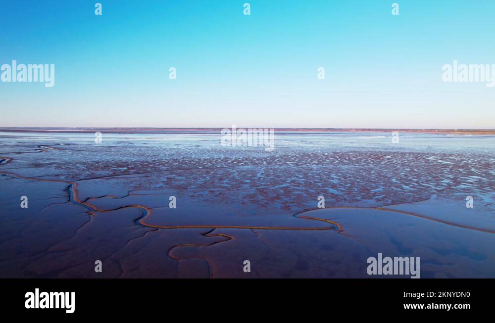 Beautiful patterns in nature Stock Videos & Footage - HD and 4K Video ...