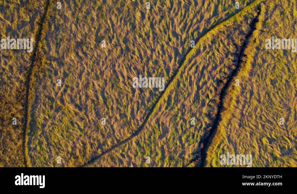 Peacefulpatterns Stock Videos & Footage - HD and 4K Video Clips - Alamy