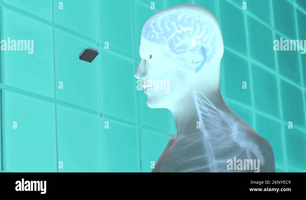 Brain chip Stock Videos & Footage - HD and 4K Video Clips - Alamy