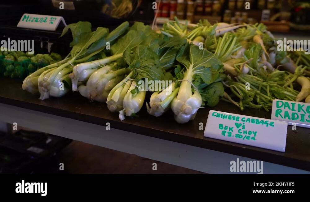 Bok choy leaf Stock Videos & Footage - HD and 4K Video Clips - Alamy