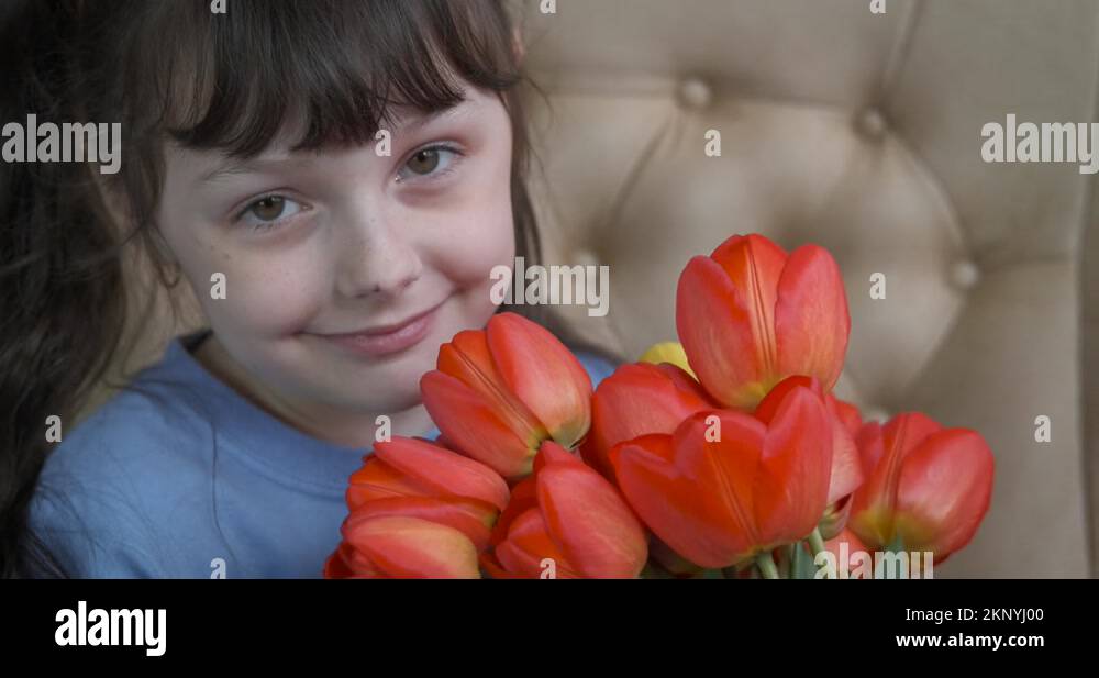 Toothless Stock Videos & Footage - HD and 4K Video Clips - Alamy