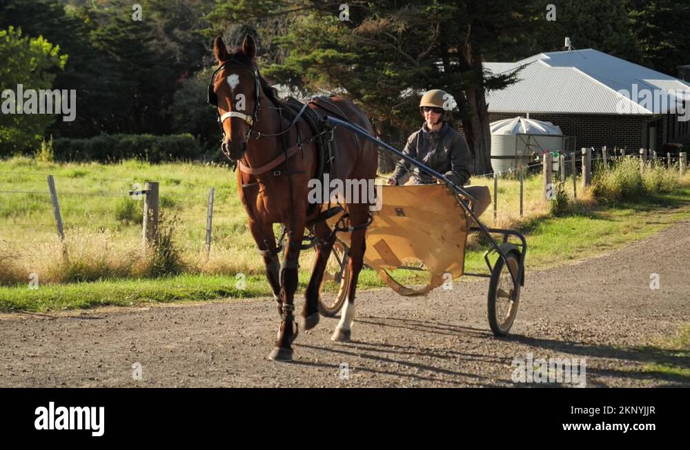 Horse walking with jockey Stock Videos & Footage - HD and 4K Video ...