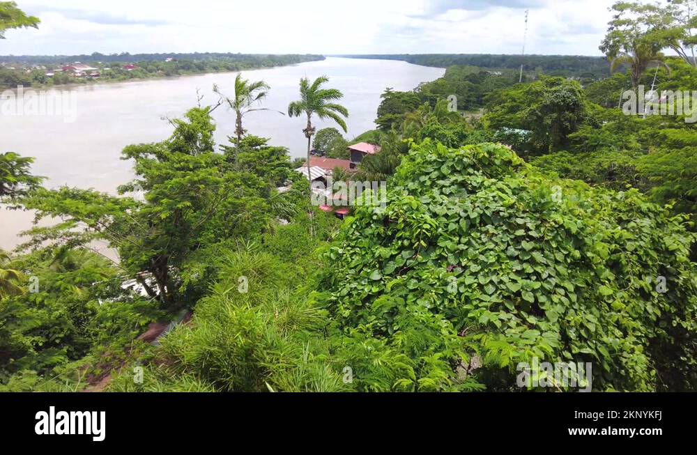 puerto maldonado city in the rainforest, amazonia river Stock Video ...