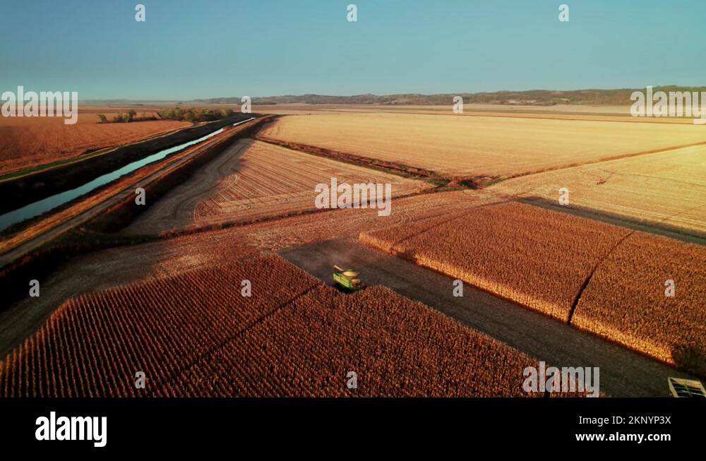 John deere combine harvest corn Stock Videos & Footage - HD and 4K ...