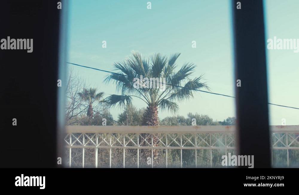 Tracking through window Stock Videos & Footage - HD and 4K Video Clips ...