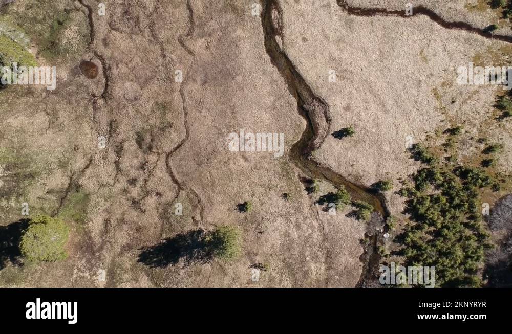 Alpinemeadow Stock Videos & Footage - HD and 4K Video Clips - Alamy