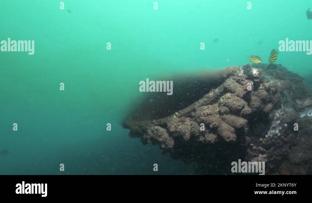 Unique view of an underwater sewer pipe discharging dirty wastewater ...