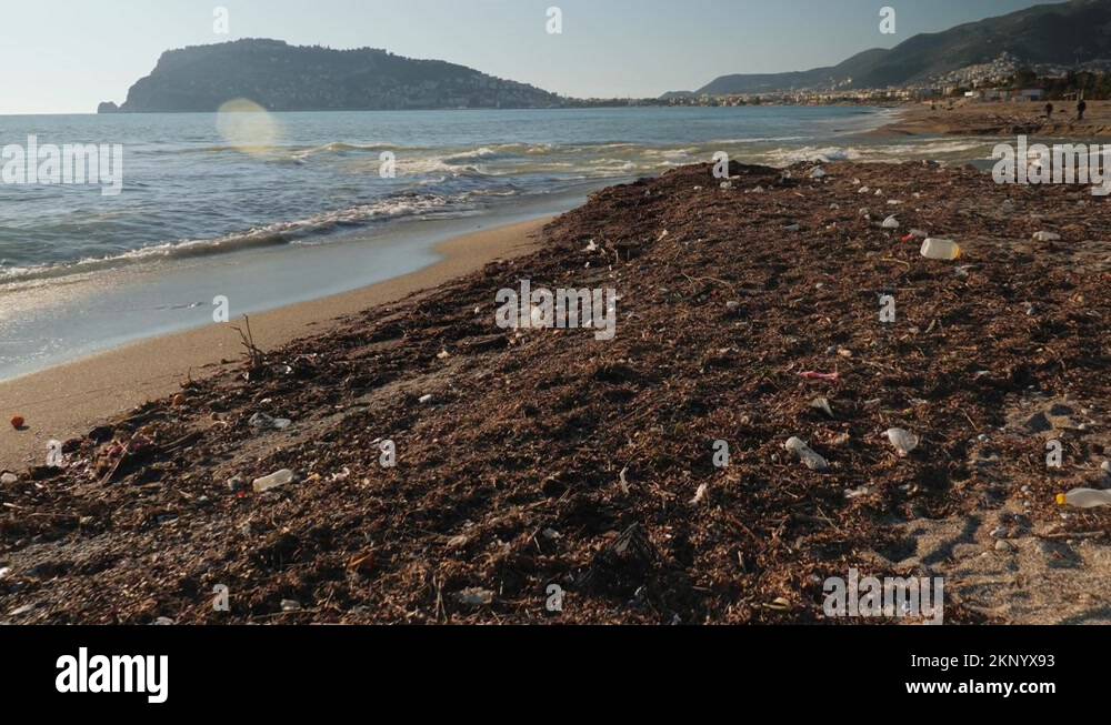 Polluted beaches with plastic waste garbage and trash. Empty used dirty ...