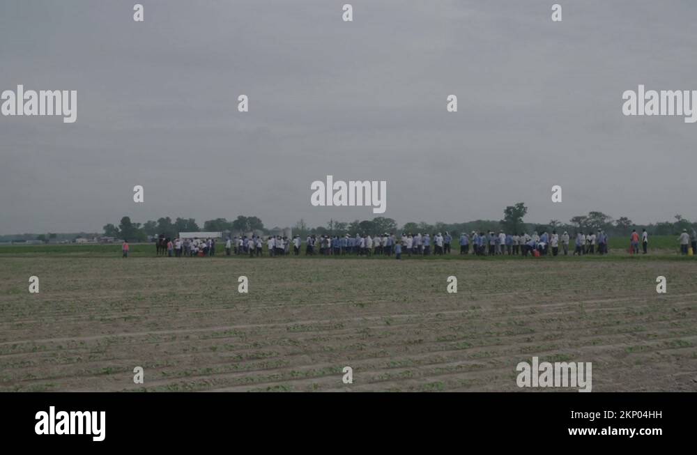 Inmates work Stock Videos & Footage - HD and 4K Video Clips - Alamy