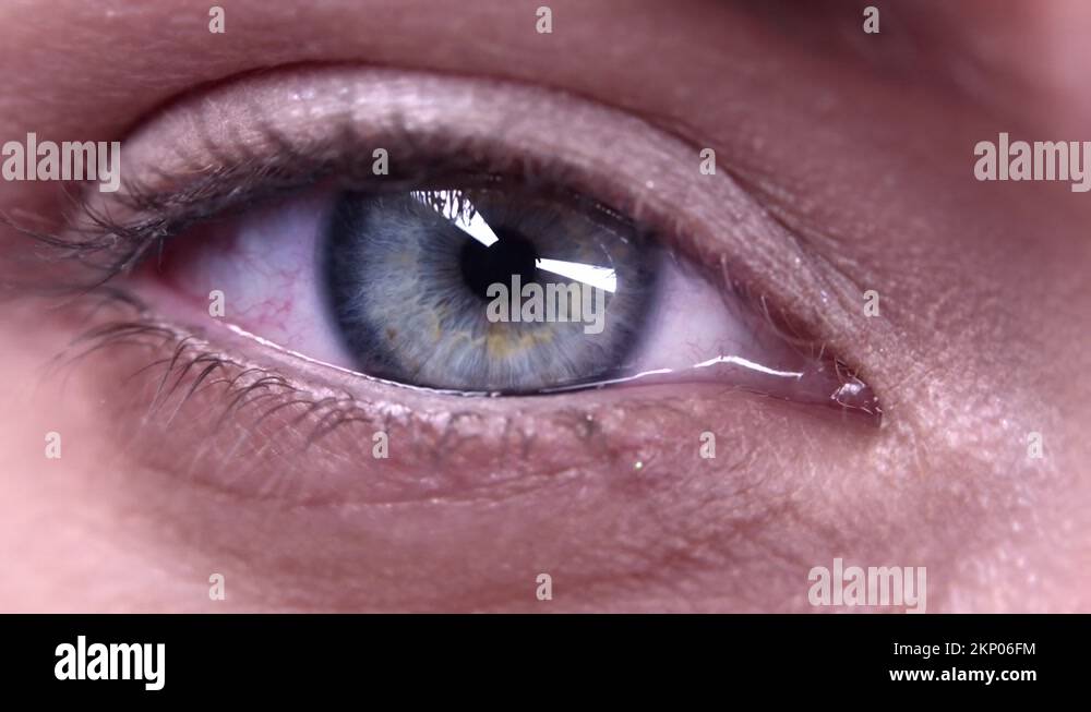 Human wide open blue eye Stock Videos & Footage - HD and 4K Video Clips ...