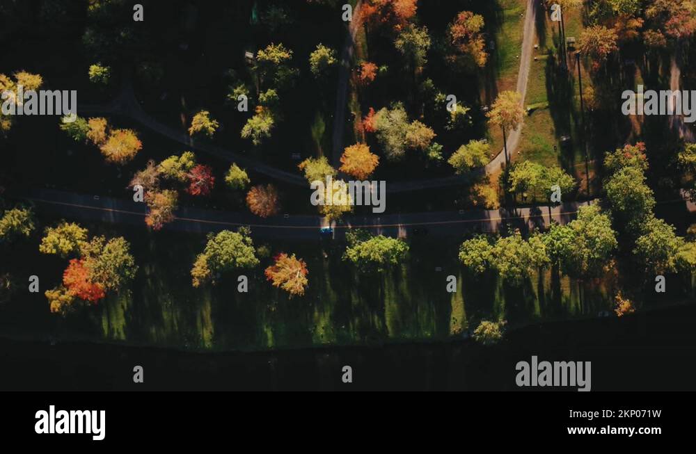 Running birds eye view Stock Videos & Footage - HD and 4K Video Clips ...