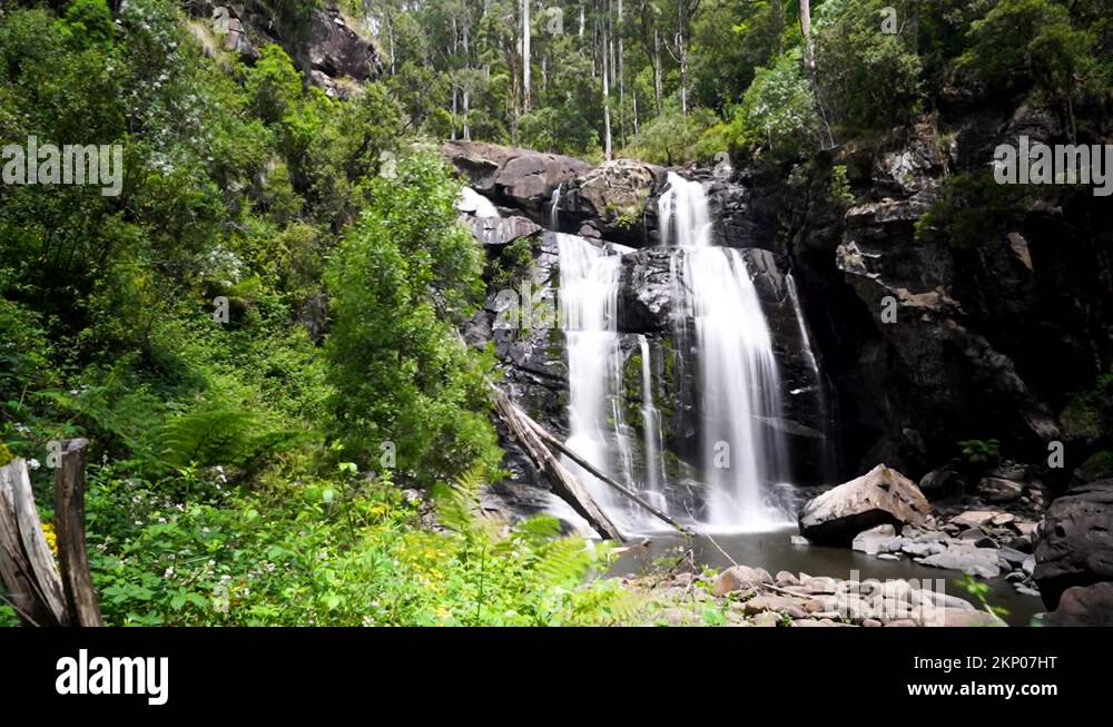 Hike in australian national park Stock Videos & Footage - HD and 4K ...