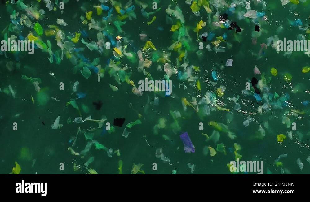 Disposable number Stock Videos & Footage - HD and 4K Video Clips - Alamy