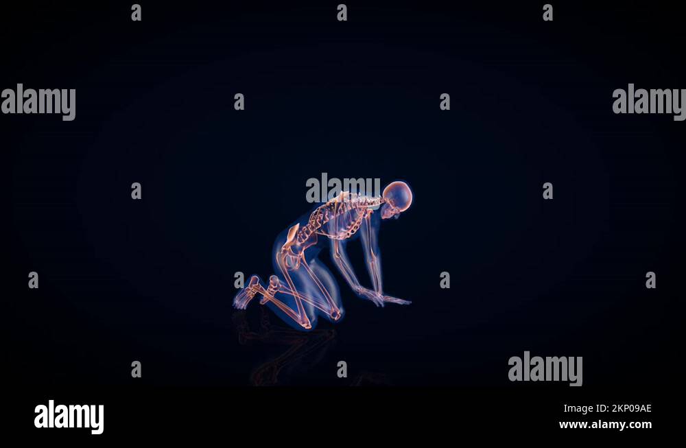 3d x ray of human body and skeleton Stock Videos & Footage - HD and 4K ...
