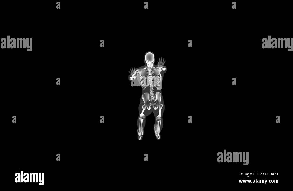 Upper body skeleton Stock Videos & Footage - HD and 4K Video Clips - Alamy