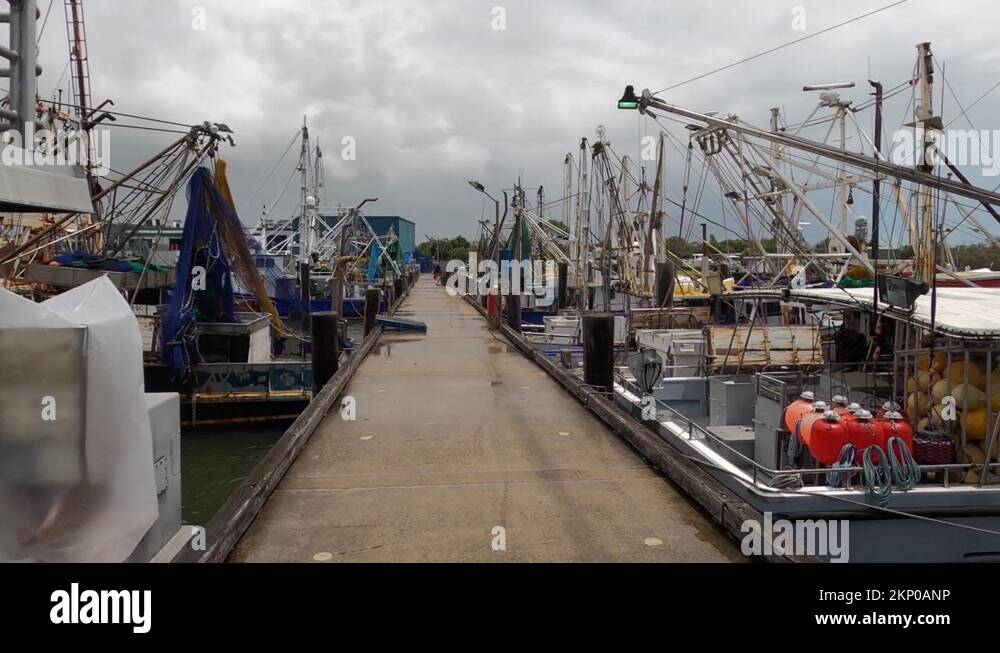 Fishing market at the the dock Stock Videos & Footage - HD and 4K Video ...