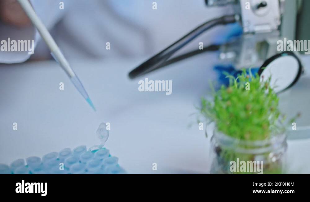 Water sample microscope Stock Videos & Footage - HD and 4K Video Clips ...