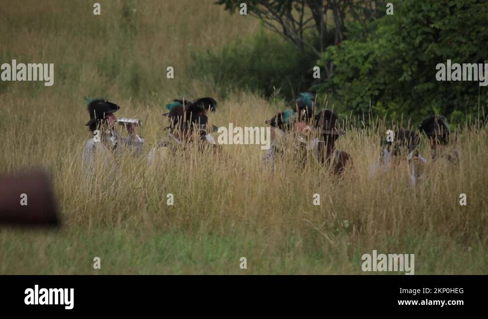 American Revolutionary War Soldiers in the distance - Muskets and tall ...