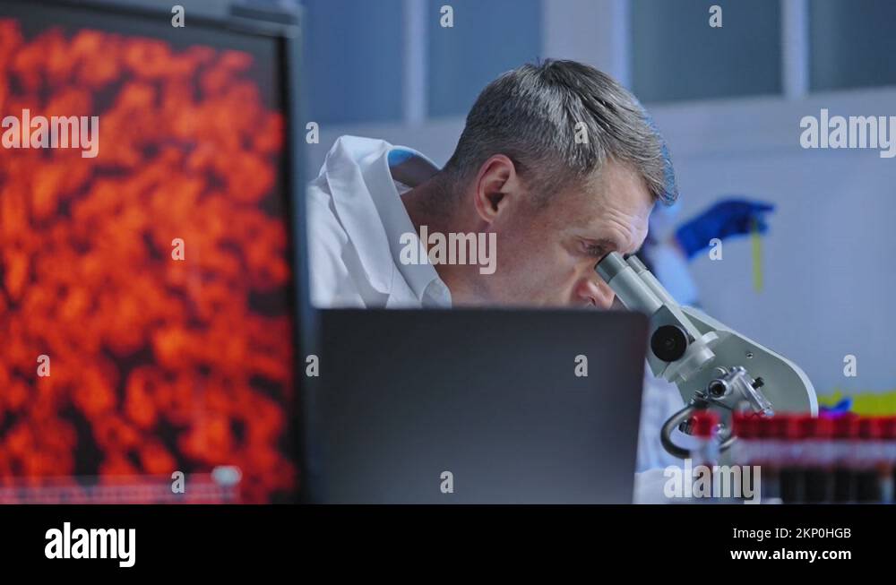 Medical laboratory scientist studying blood cells under microscope ...