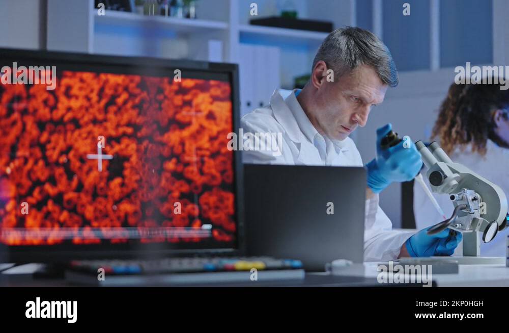 Scientist examining blood sample under microscope, diagnostics and ...