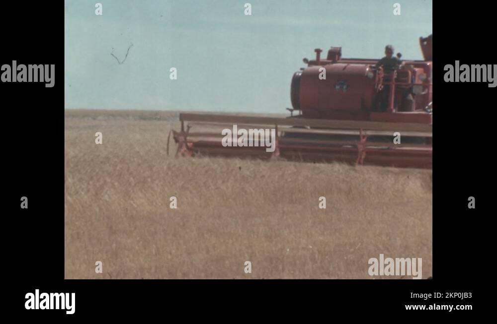 Collecting wheat Stock Videos & Footage - HD and 4K Video Clips - Alamy
