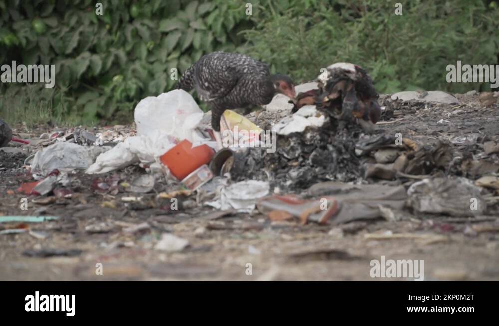 Contamination of the floor Stock Videos & Footage - HD and 4K Video ...