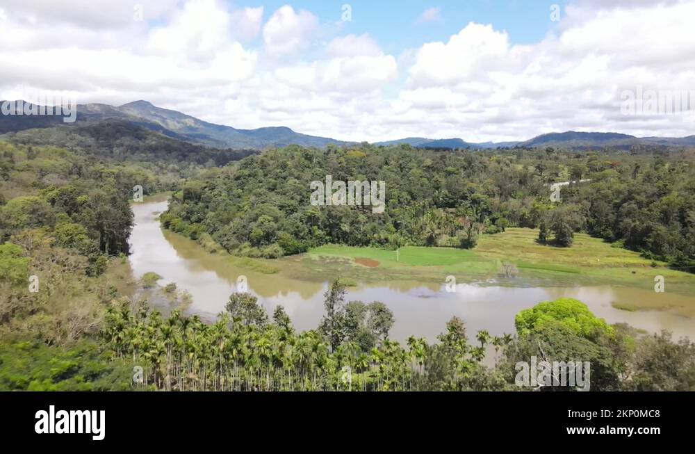 Indian mangroves Stock Videos & Footage - HD and 4K Video Clips - Alamy