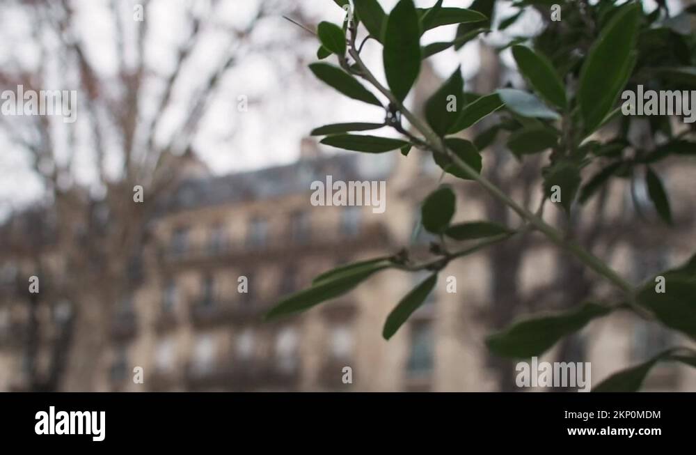 Building discovery building Stock Videos & Footage - HD and 4K Video ...