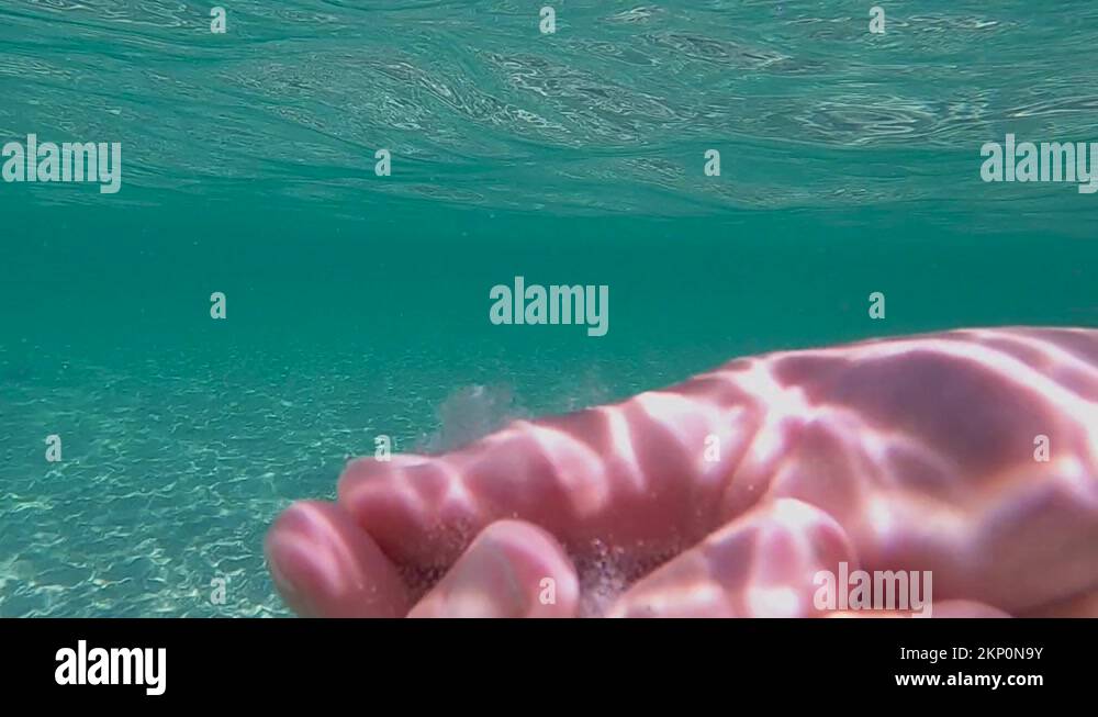 Underwater beach shells Stock Videos & Footage - HD and 4K Video Clips ...