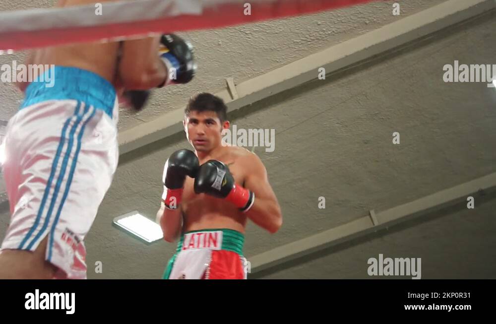 boxers fighting in the ring for a competition Stock Video Footage - Alamy