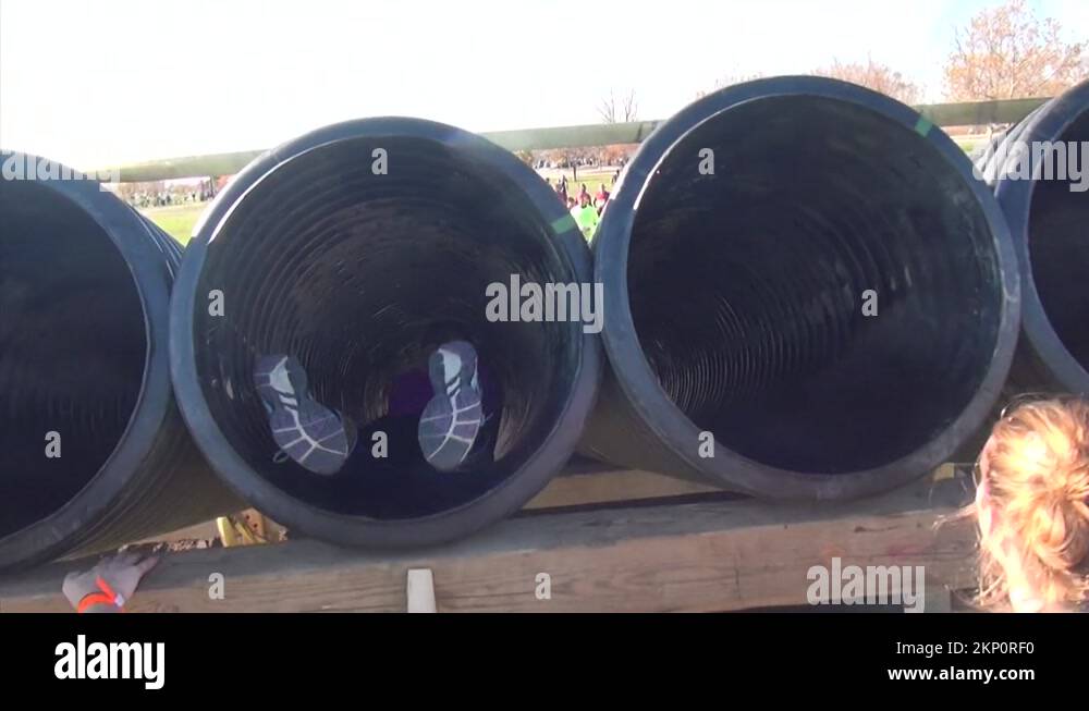 Mud tube Stock Videos & Footage - HD and 4K Video Clips - Alamy