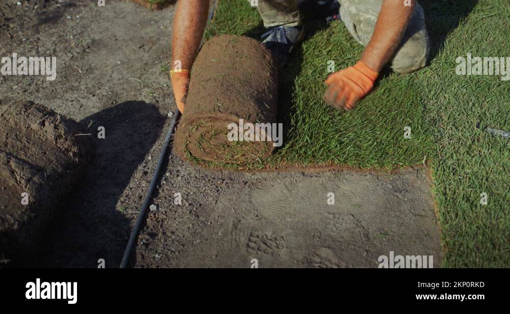 A team of workers lays a rolled lawn in the yard of the house. Top view ...