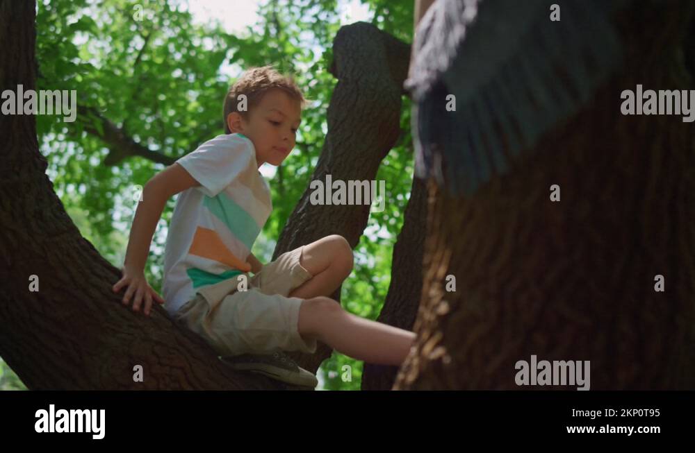 Boy climb tree Stock Videos & Footage - HD and 4K Video Clips - Alamy