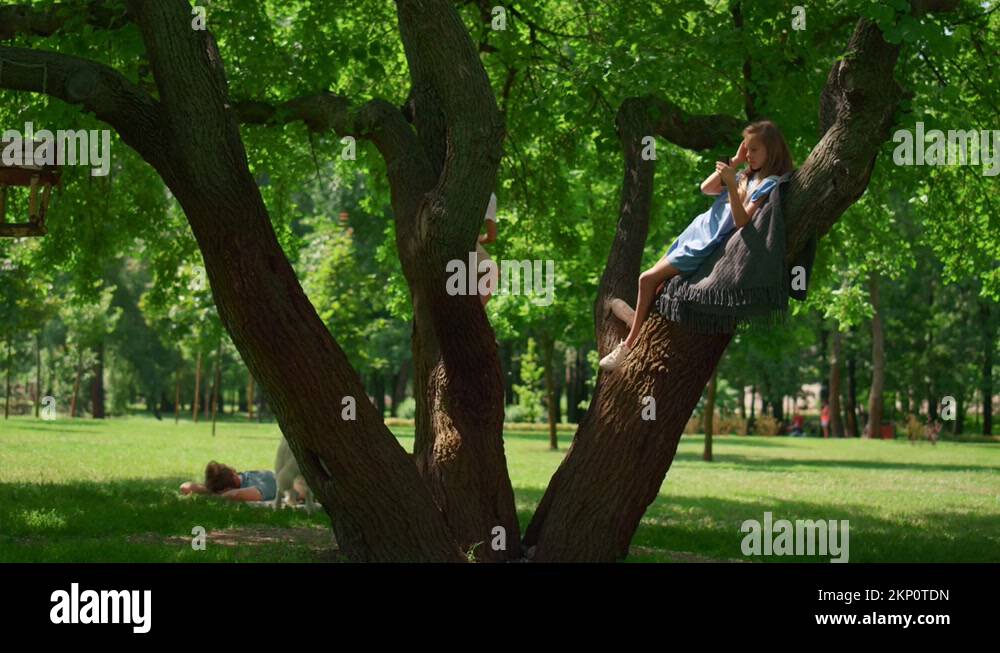 Joyful children sitting tree on picnic. Cute siblings play on wide ...
