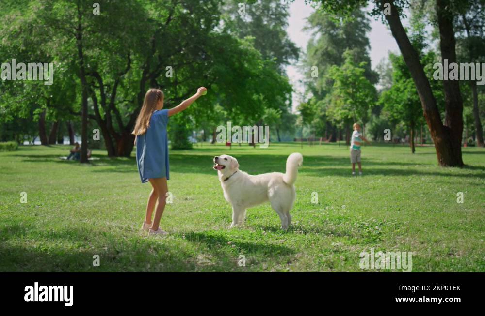 Cute girl training dog in green park rear view. Children play catch ...