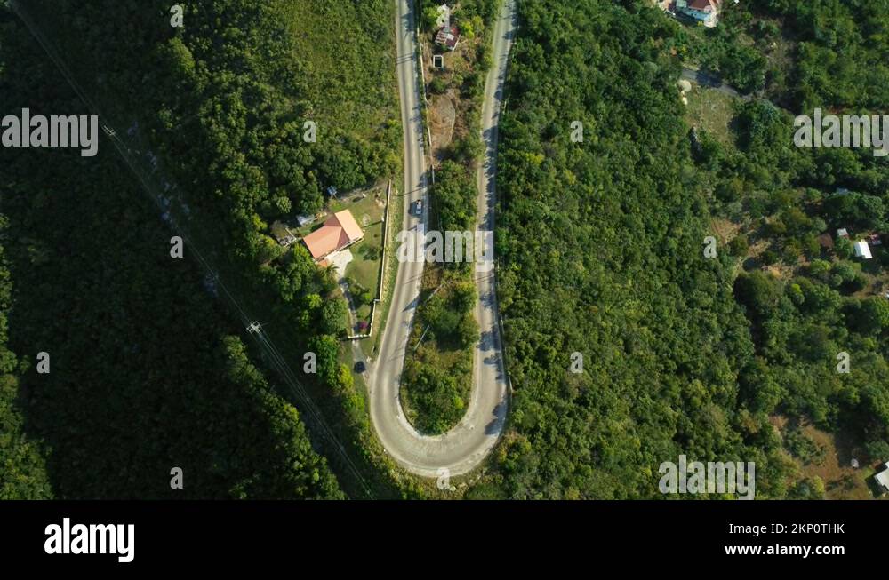 Spur tree Stock Videos & Footage - HD and 4K Video Clips - Alamy