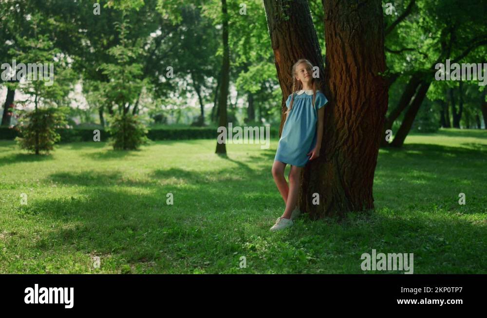 Lean tree Stock Videos & Footage - HD and 4K Video Clips - Alamy