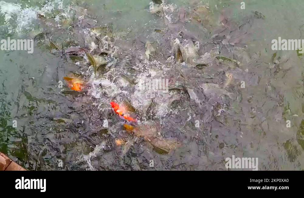 A huge reservoir located at Tararak waterfall, Thailand. Visitors can ...