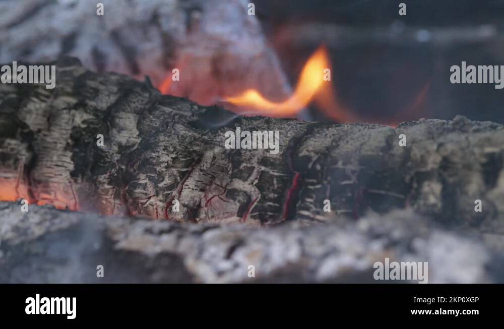 Wood ash fire Stock Videos & Footage - HD and 4K Video Clips - Alamy