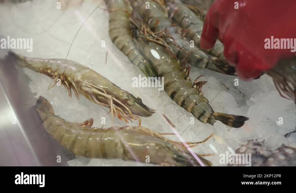 Shell on prawns Stock Videos & Footage - HD and 4K Video Clips - Alamy