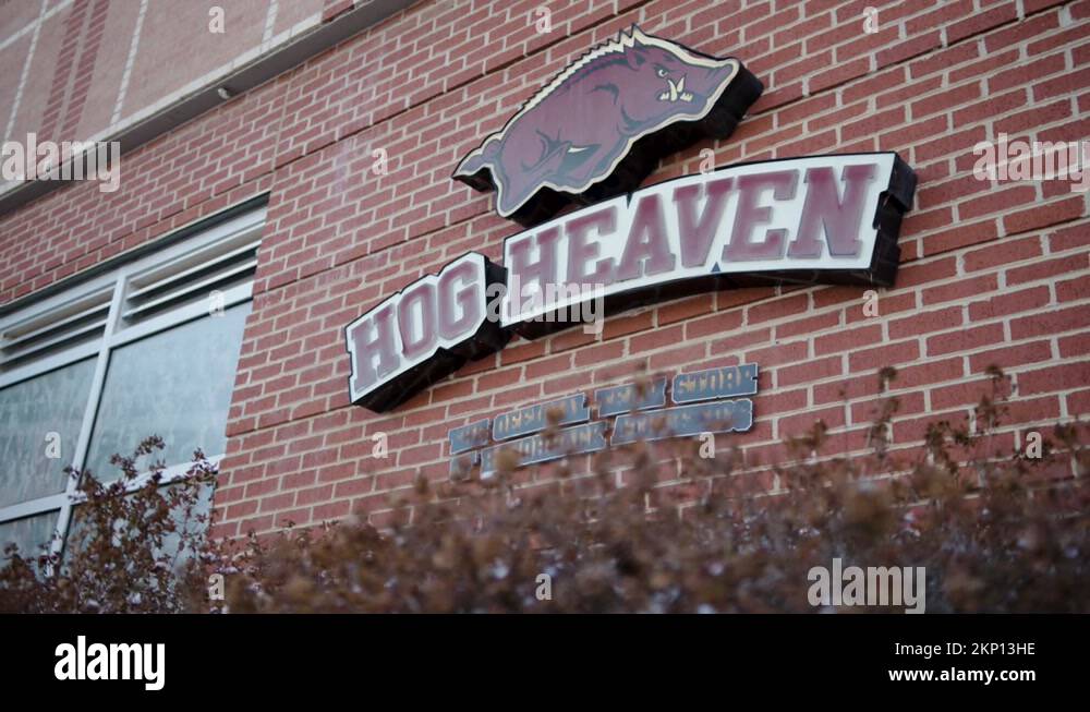 Razorbacks Stock Videos & Footage - HD and 4K Video Clips - Alamy