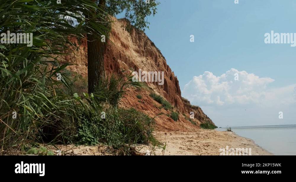 Beach red plants Stock Videos & Footage - HD and 4K Video Clips - Alamy